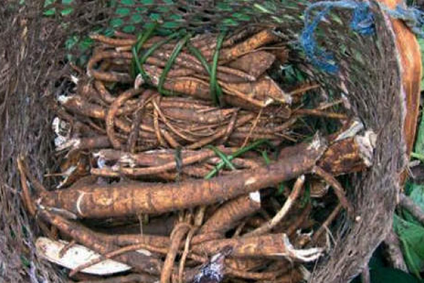 Eat Healthy - Productos de calidad a su alcance | Peru